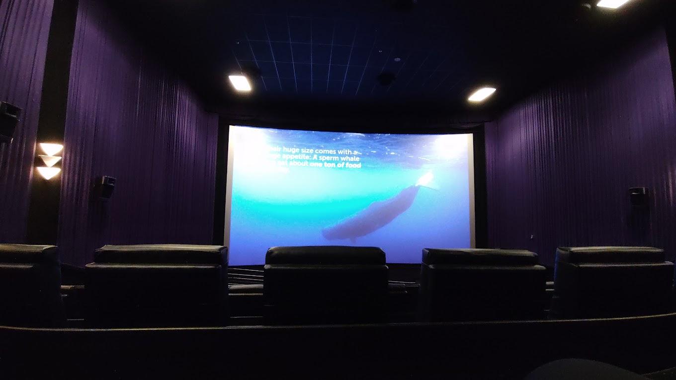 Cinemark Tinseltown Colorado Springs and XD in Colorado Springs, CO ...