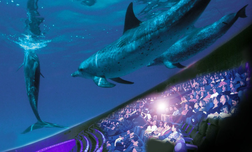 Charlotte IMAX Dome Theatre at Discovery Place - Showtimes & Tickets