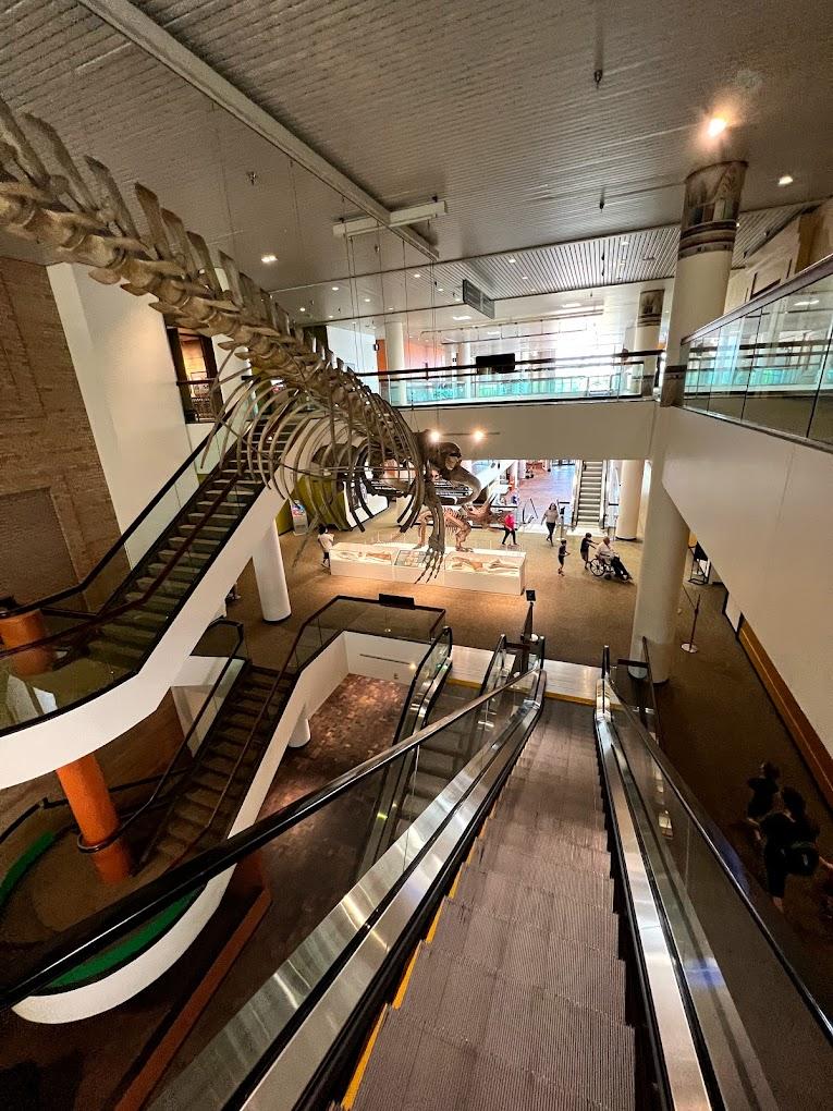 Denver Museum of Nature & Science - Showtimes & Tickets