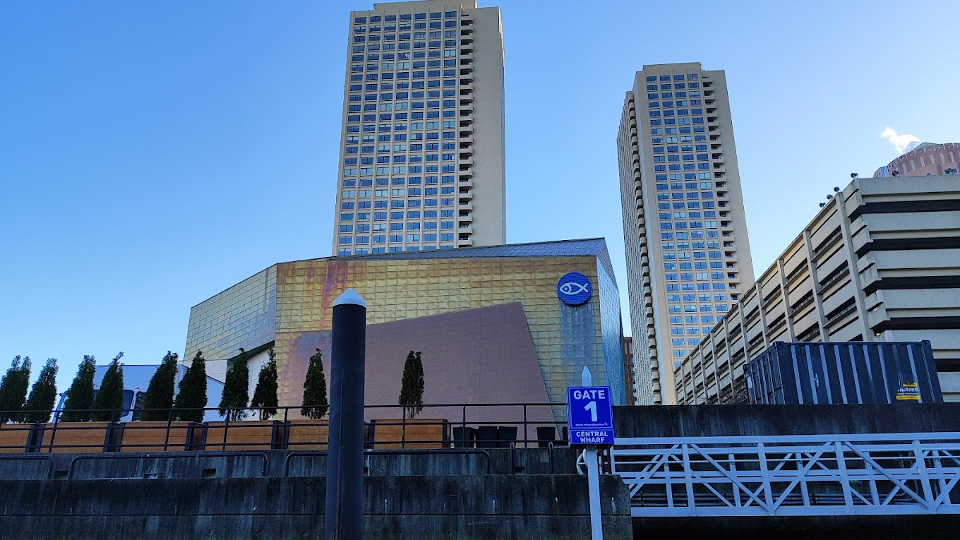 Simons Theatre - Showtimes & Tickets