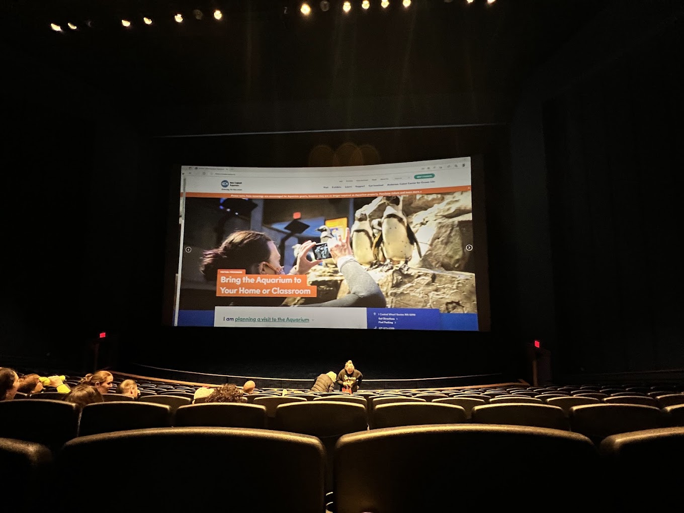 Simons Theatre - Showtimes & Tickets